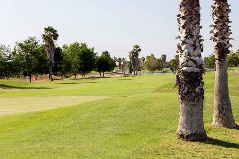 Photo Gallery - Pheasant Run Golf Club